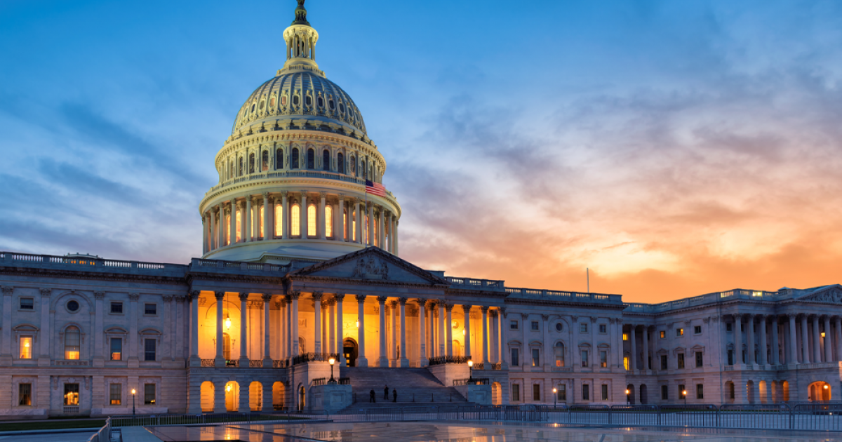 Silvabrand | CCS International Website